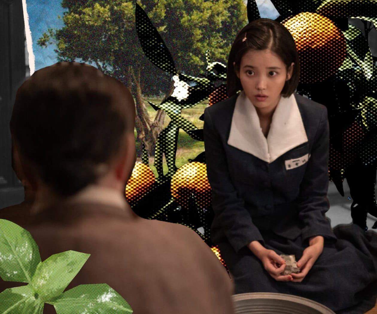 ¿De qué trata la serie Si la vida te da mandarinas? - La Cadera De Eva